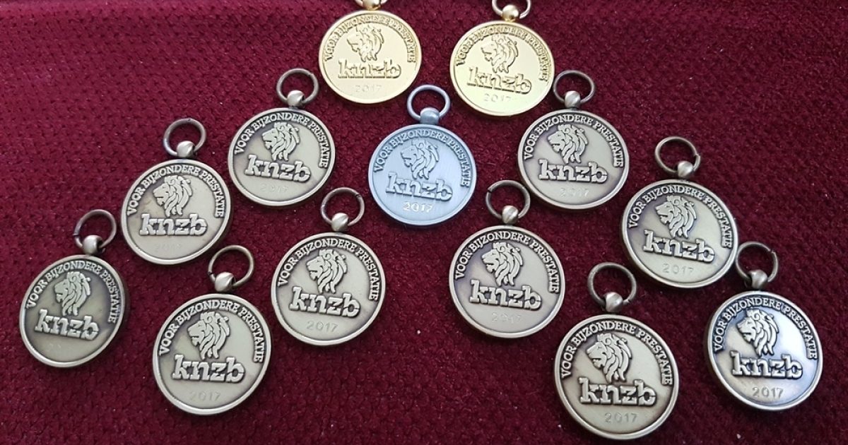 KNZB | Prestatie medailles schoonspringen